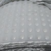 China Onsite Training Included 8-30mm HDPE Dimpled Plastic Drainage Sheet for Waterproofing for sale