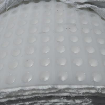 China Onsite Training Included 8-30mm HDPE Dimpled Plastic Drainage Sheet for Waterproofing for sale