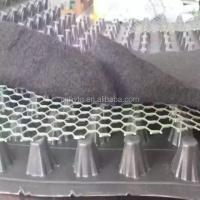 China Onsite Training Included 8-30mm HDPE Dimpled Plastic Drainage Sheet for Waterproofing for sale