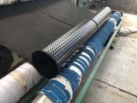 China 8mm-20mm Thickness Greenroof Dimple Mat Drainage Board with PE Material 2m Length for sale