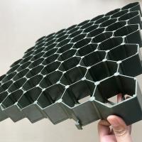 China 100% Virgin HDPE Honeycomb Plastic Gravel Paving Grid for Parking Lot Stabilization for sale