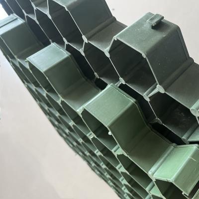 China HDPE Grass Paving Grids A Modern and Easy-to-Install Solution for Landscaping for sale