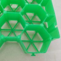 China HDPE Grass Lawn Grid Plastic Car Driveway Paving Reinforcement Planting Grass Paver Grid for sale