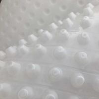 China Modern Design Style Drainage HDPE Composite Drainage Board for Building and Construction for sale