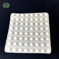 China Modern Design Style Drainage HDPE Composite Drainage Board for Building and Construction for sale