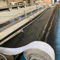 China High Density Polyethylene Coating Bentonite Geosynthetic Clay Liner Modern Design Style for sale