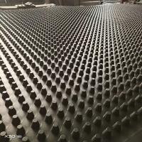 China Modern Design Style Drainage HDPE Composite Drainage Board for Building and Construction for sale