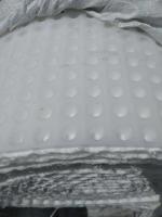 China Modern Design Style Drainage HDPE Composite Drainage Board for Building and Construction for sale