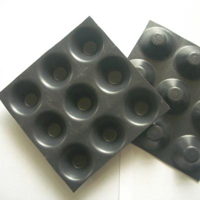 China Customized Size Greening Plastic Dimple Drainage Board for Garden Roof Waterproofing for sale