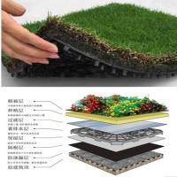 China Protect Turf Function HDPE Drain Board for Plastic Water Storage Return and Replacement for sale