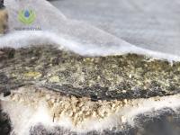 China Waterproof Membrane Bentonite Geosynthetic Clay Liner for Natural Sodium Bentonite for sale