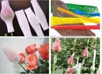 China Customized Protactive Net for Outlet Sales of Plastic Mesh Rose Bud Protective Sleeve for sale