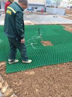 China 500*500*40 Non-slip Stall Flooring Grid for Plastic Grass Paving in Greening System for sale