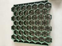China HDPE Grass Grids Pavers for Pedestrian Traffic Core Landscape 38mm 48mm 68mm Height for sale