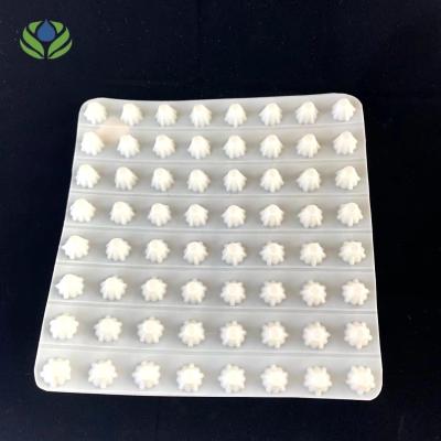 China HDPE Dimpled Drainage Sheet for Green Roof 60mm Height Customizable Waterproofing for sale