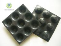 China HDPE Dimpled Drainage Sheet for Green Roof 60mm Height Customizable Waterproofing for sale