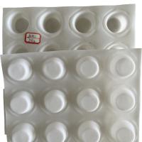 China Engineering Construction Waterproofing HDPE Drainage Board for Roof Greening Storage for sale