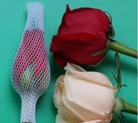 China Unlimited Length Plastic Net Sheet Roll for Rose Bud Mesh Glass Bottle Protective Net for sale