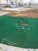 China 500*500*50 Grass Plastic Paver Grid for Long-Lasting and Sustainable Parking Solutions for sale