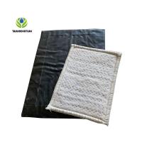 China Office Building Waterproofing Solution 3500g-8500g Bentonite Geotextile and Clay Liners for sale