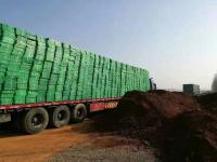 China Grassy Plastic Parking Lot for High Pressure Resistance and Anti Pressure Lawn Grid for sale