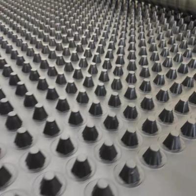 China 20mm Dimple Drain Sheet for Roof Garden and Retaining Wall in Modern Design Style for sale