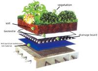 China 20mm Dimple Drain Sheet for Roof Garden and Retaining Wall in Modern Design Style for sale