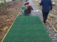 China 500*500*70 HDPE Plastic Grass Grid Pavers for Eco-friendly and Low-maintenance Gardens for sale
