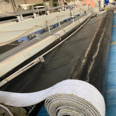 China Landfill GCLs 6m Width Natural Sodium Bentonite Needle Punched Membrane for Waterproofing for sale