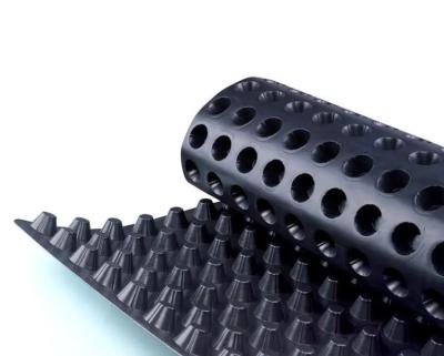 China Green Roof HDPE Dimple Drainage Sheet Board Customized for Your Roofing Construction for sale