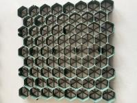 China Stylish HDPE Material Planting Grass Paver Grid for Heavy Duty Driveway and Lawn for sale