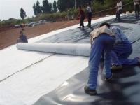 China Waterproof 2mm HDPE Geomembrane for Lake Liner Roll in 50m-100m Length Customizable for sale