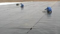 China Waterproof 2mm HDPE Geomembrane for Lake Liner Roll in 50m-100m Length Customizable for sale