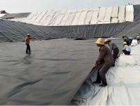 China 2mm HDPE Geomembrane for Fish and Shrimp Pond Liner 1500 micron Waterproof Membrane for sale