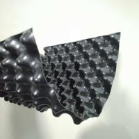 China Durable HDPE Water Impounding Roof Garden Green Dimple Drainage Board with Geotextile for sale