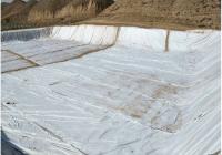 China Geomebrane Liner Composite Geotextile for Landfill and Reservoir Anti-Seepage Direct for sale
