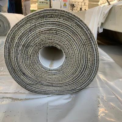 China High Tensile Strength Geosynthetic Clay Liner for Fast and Hassle-free Waterproofing for sale