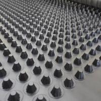 China Modern Engineering Construction Waterproofing Water Storage Drainage Board for Roof Garden for sale