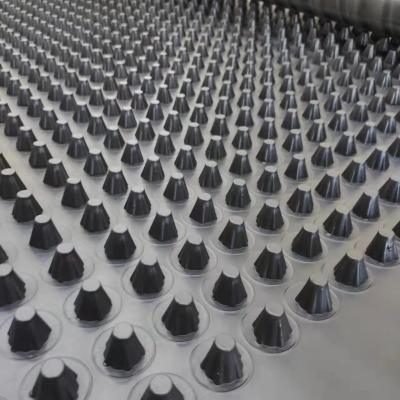 China Modern Engineering Construction Waterproofing Water Storage Drainage Board for Roof Garden for sale