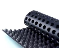 China Rectangle Waterproof HDPE Drainage Board Dimple Membrane Drain Mat for Green Roof for sale