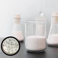 China HN60S Hollow Glass Microspheres 10-60 µm for Structural Sealants for sale