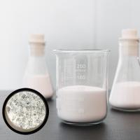 China HN60S Hollow Glass Microspheres 10-60 µm for Deep Sea Insulation Pipes for sale