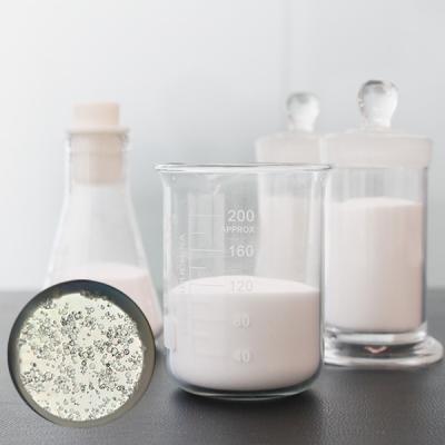China HN40 Hollow Glass Microspheres 10-75µm for Construction for sale