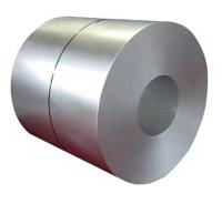 China Galvanized Zinc Coating Ppgi Ppgl Steel Coil Double Coated Color Painted Metal Roll Paint for sale