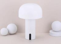 China Home Decor Colorful Night light Made In China Bulb USB Table Lamp for sale