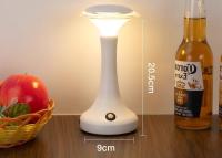China Home Decor  Night light Made In China Bulb USB Table Lamp for sale