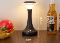 China Home Decor  Night light Made In China Bulb USB Table Lamp for sale