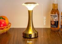 China Home Decor  Night light Made In China Bulb USB Table Lamp for sale