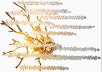 China Post-modern light luxury personality villa model room living room dining room bedroom lamp creative tassel branch crystal chandelier for sale