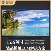 China 15.6 Inch 1920*1080 AUO LCD Module 500cd/M2 High Brightness With Backlight Driver for sale